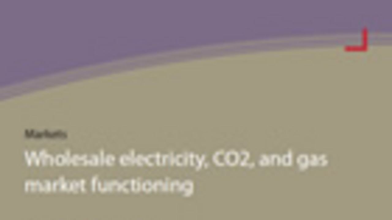Wholesale electricity, CO2, and gas market functioning - 2012-2013 ...
