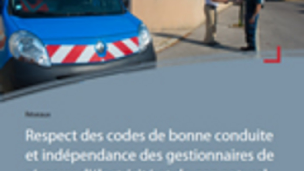 Respect des codes de bonne conduite - Rapport 2012 | CRE