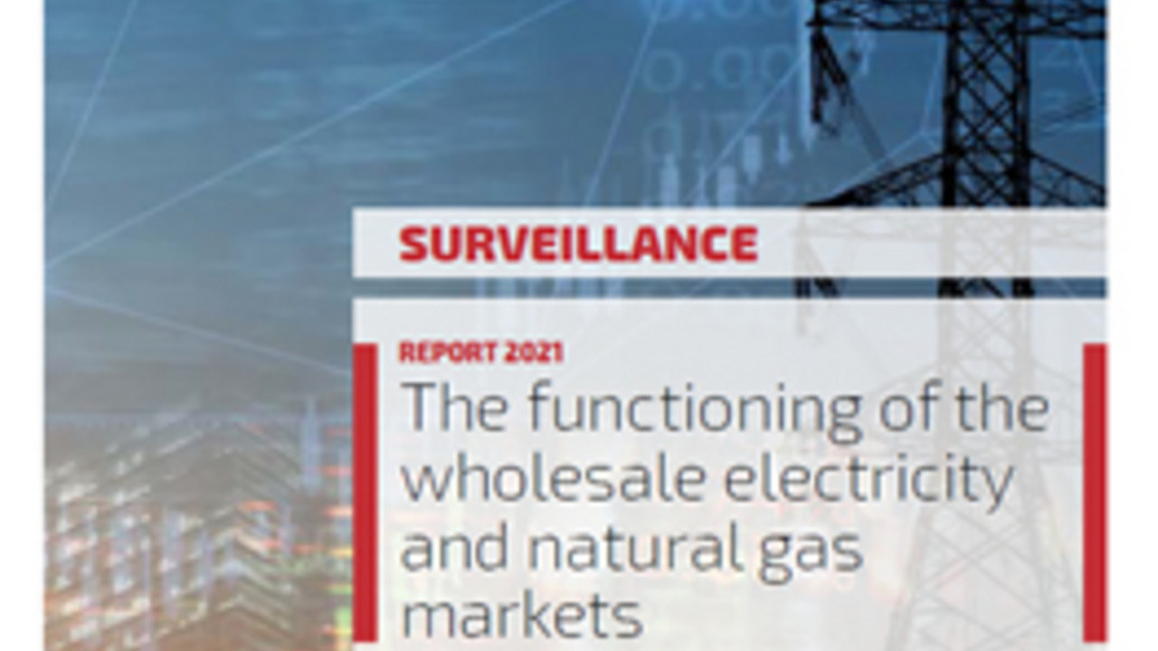 The functioning of the wholesale electricity and natural gas markets | CRE