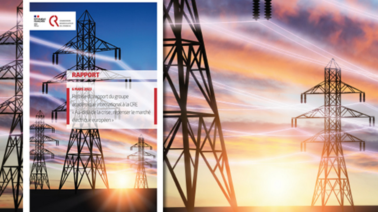 The group of academic experts submits to the French energy regulator ...