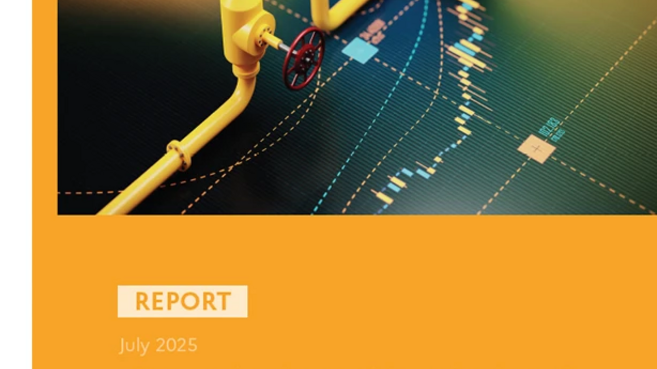 The monitoring and functioning of wholesale electricity and natural gas ...