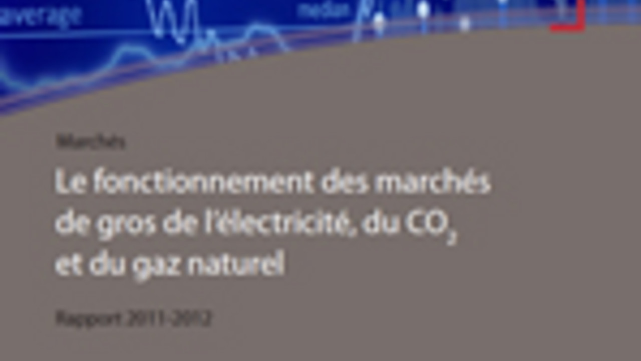 Functioning of the energy wholesale markets in 2011-2012 | CRE