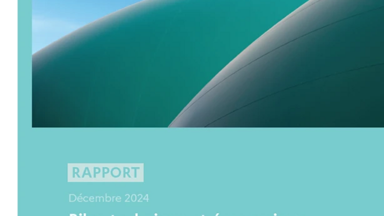 Bilan technique et économique des installations de production de ...